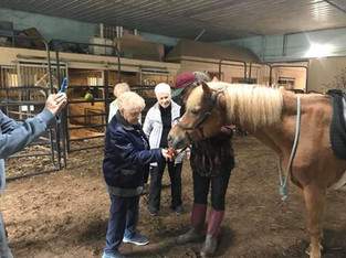 Riding Lessons | Michigan | HOPE Horsepark