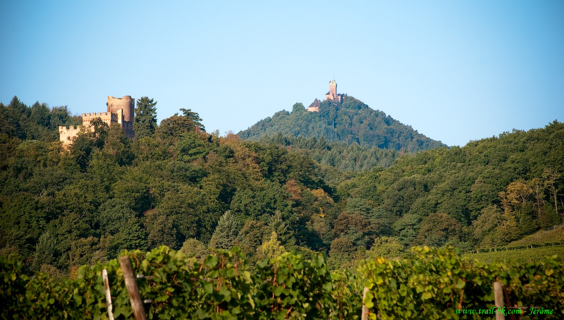 Historique | ultra-thk