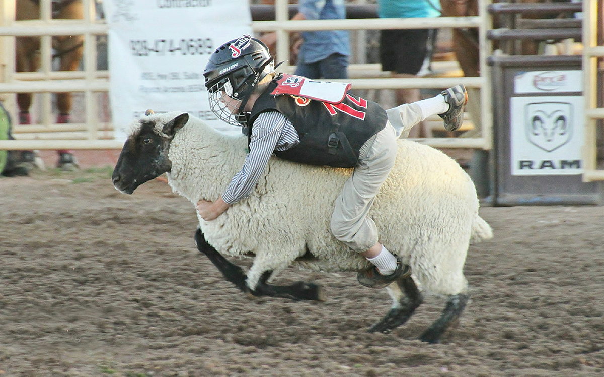 Discover Gila County | Payson, Arizona