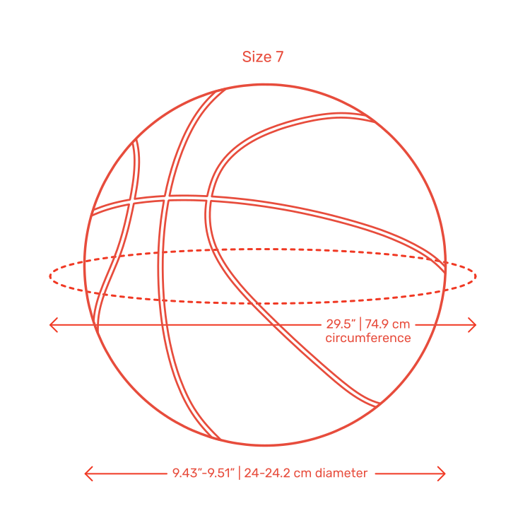 Club Management Basketball | Court | Hoop & Backboard