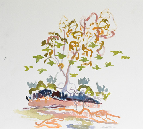 Bough Budgies | michelleteear