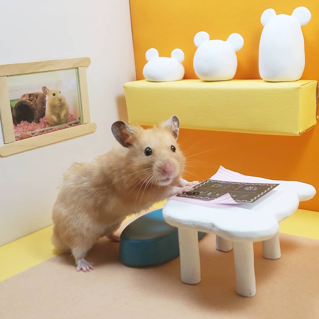 SAK-SOON | Arts & Craft