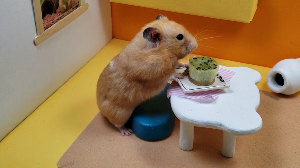 SAK-SOON | Arts & Craft