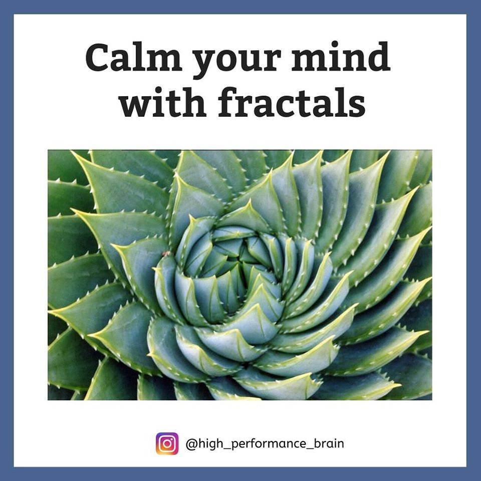Calm your mind with fractals