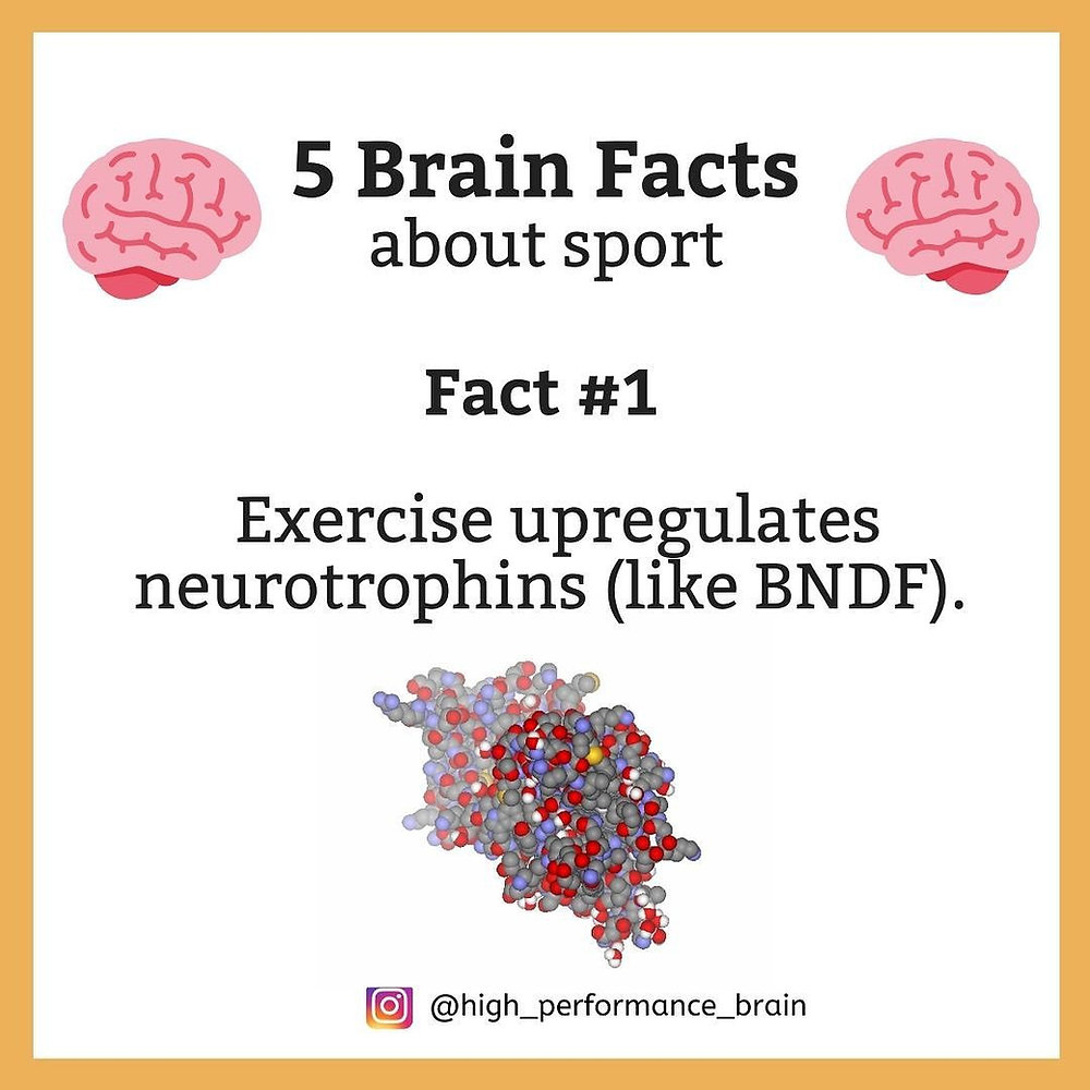 5 Brain Facts about sport