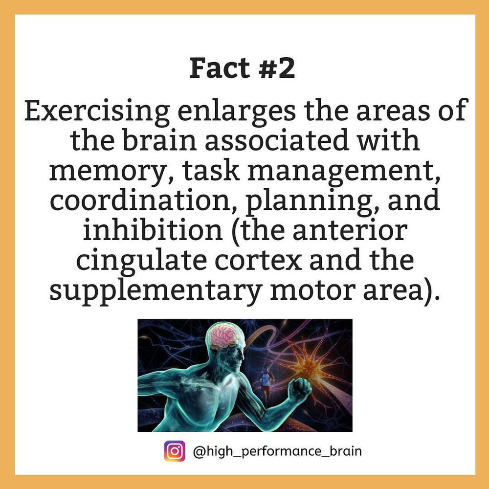 5 Brain Facts about sport