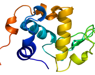 Components: Lactalbumins | Powerstrum Colostrum