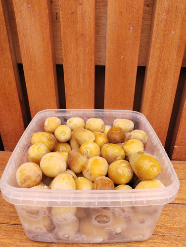 Frozen Dates | Wadialamardi