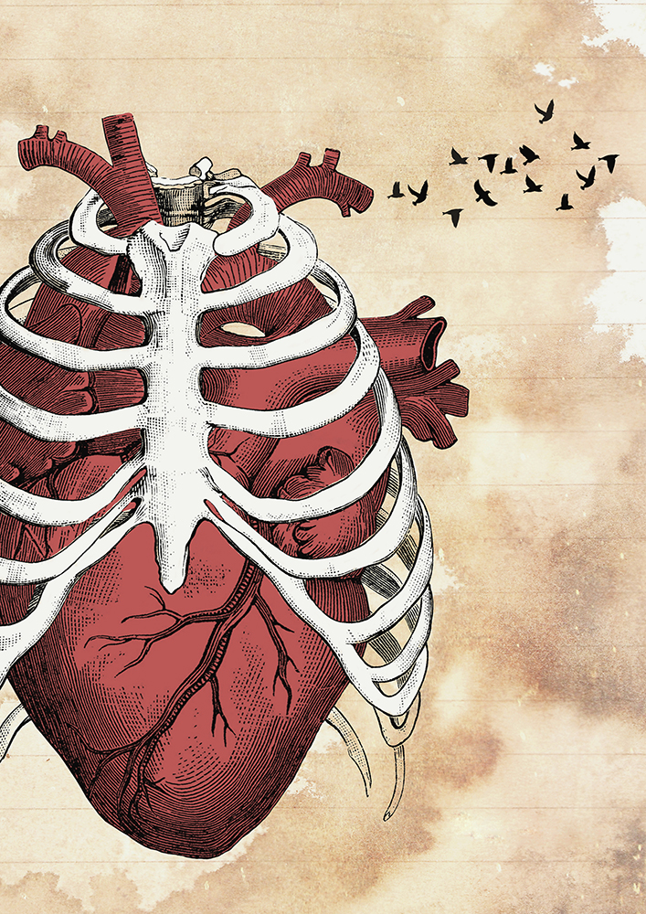 Figuras Retóricas Visuales | edubarbero