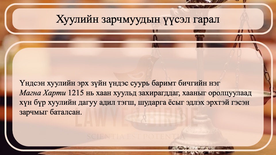 Хуульч Шувуухай Захиргааны хэрэг хянан шийдвэрлэх ажиллагааны зарчим