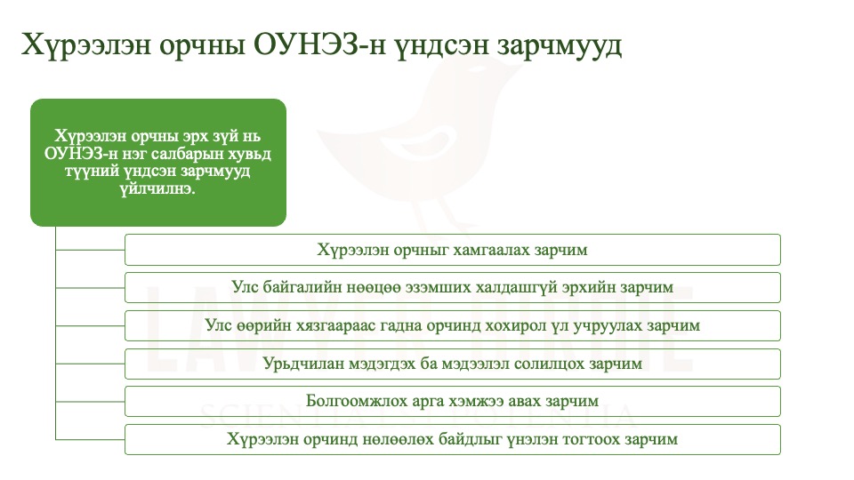 Хуульч Шувуухай Хүрээлэн буй орчныг хамгаалах Олон улсын эрх зүй
