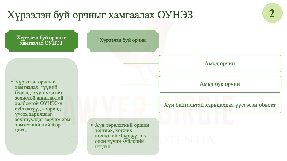 Хуульч Шувуухай Хүрээлэн буй орчныг хамгаалах Олон улсын эрх зүй