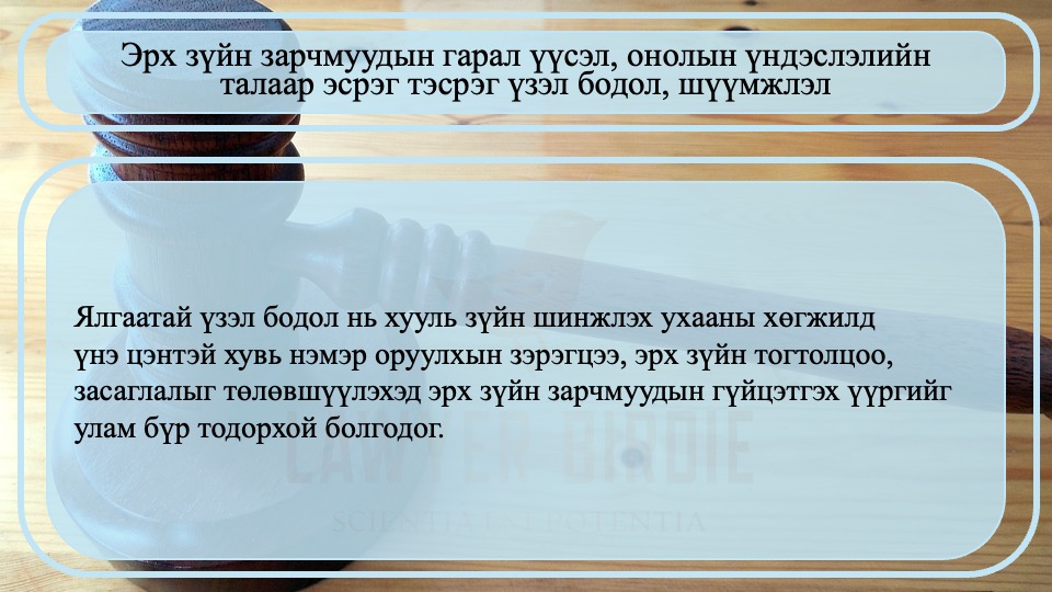 Хуульч Шувуухай Захиргааны хэрэг хянан шийдвэрлэх ажиллагааны зарчим