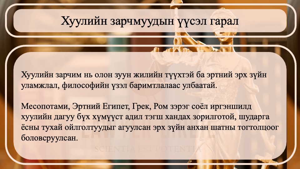 Хуульч Шувуухай Захиргааны хэрэг хянан шийдвэрлэх ажиллагааны зарчим