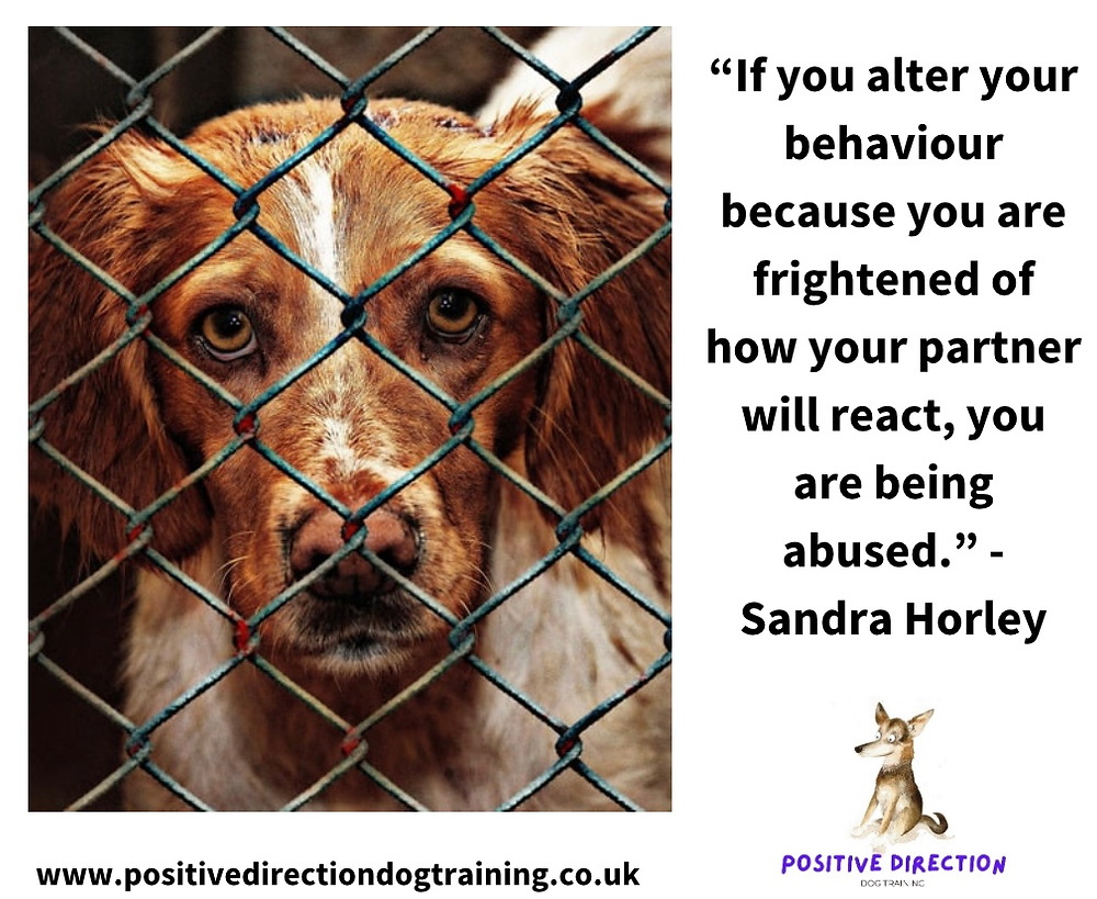 Say no to animal abuse