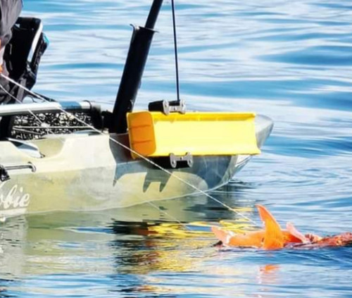 SAI Board Mount | Snipe Air Industries