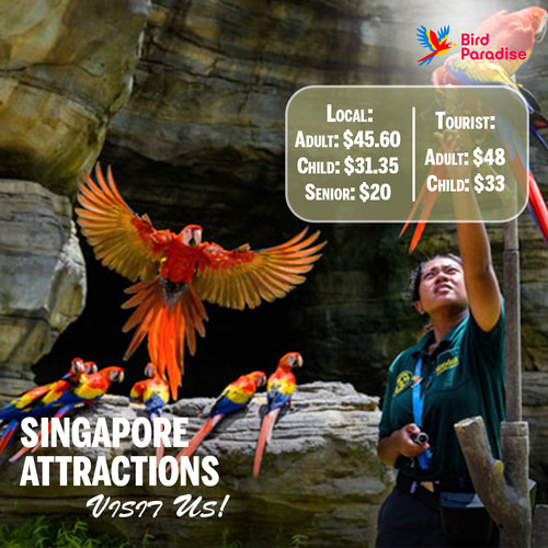 Bird Paradise Singapore attraction E-ticket (One day pass) | THKTOUR