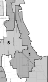 Cook County Circuit Court Election