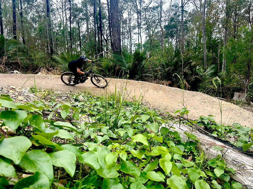 Narooma MTB Shuttles | Bike Lifter by Southbound Escapes