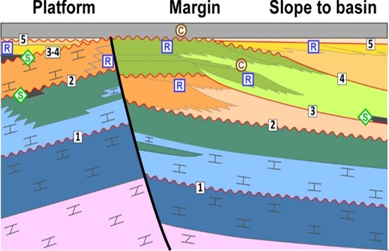 Field Seminar on Seismic and Sequence Stratigraphy of Carbonate Systems ...