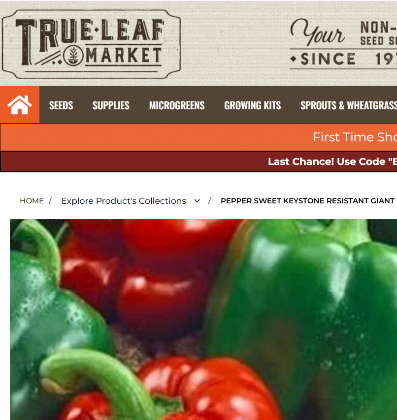 Plant Spotlight: Keystone Resistant Giant Sweet Pepper