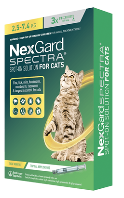Nexgard Spectra Cat For Large Cats 2.5kg - 7.4kg - 3 Pack | Jen's Pet ...