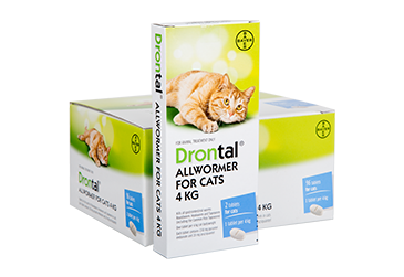 Drontal 4kg Cat worming tablet | Jen's Pet Supplies