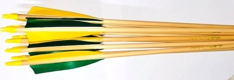 Rose City Hunter select Timber arrows | coastal-archery