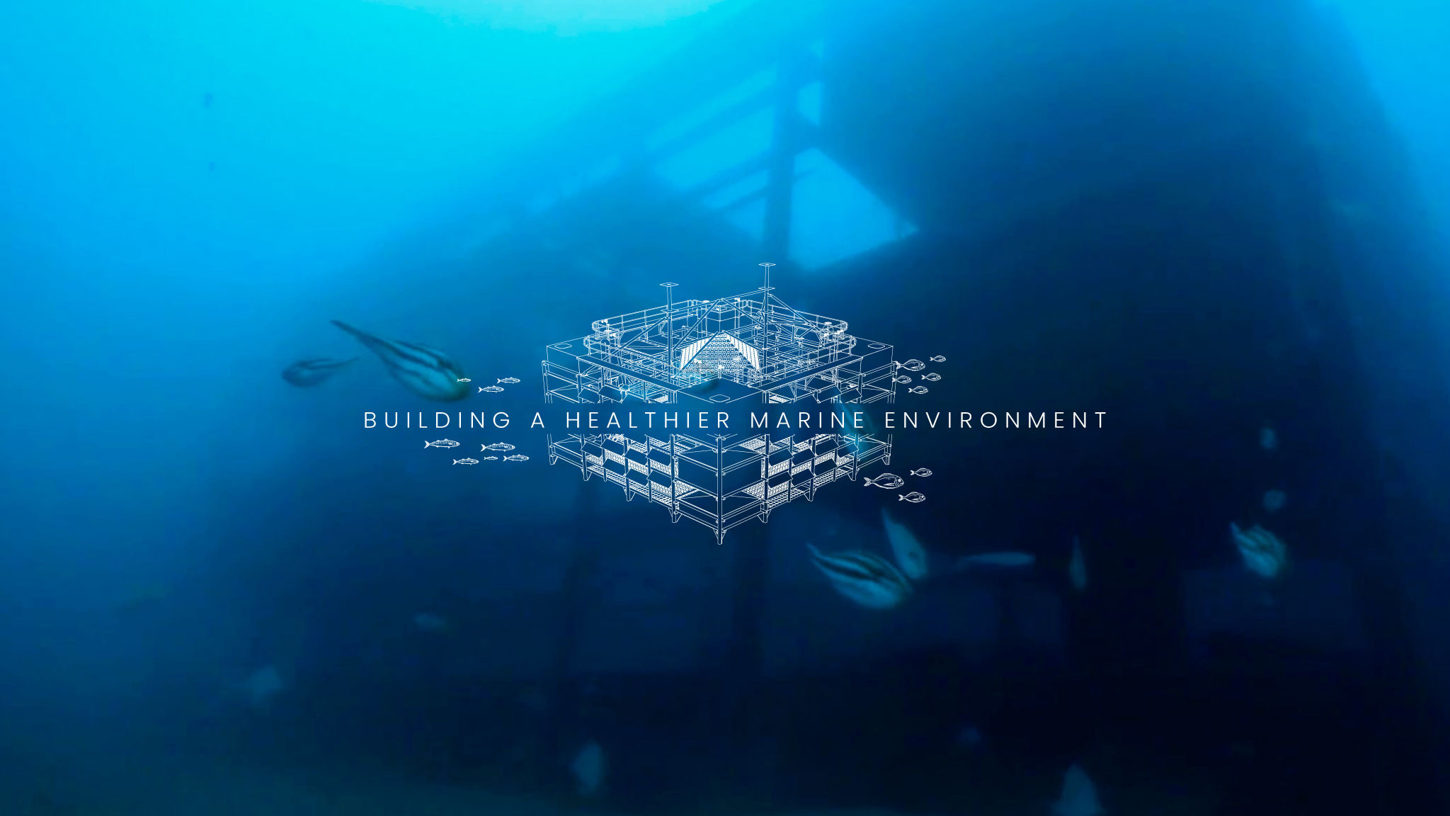 SeaO2 branding | All Good Collective