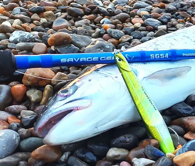 SAVAGE GEAR SGS4 PRECISION LURE | CRICCIETH TACKLE BOX