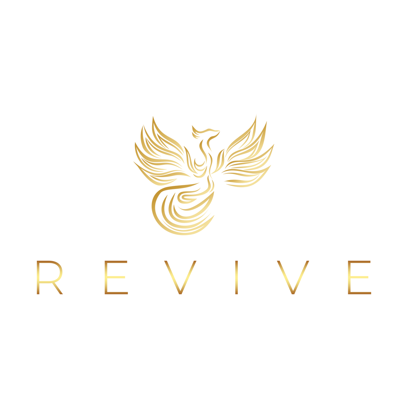 Gallery | Revive