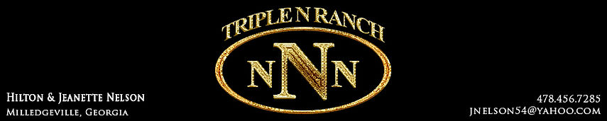 Reference Stallions | Triple N Ranch