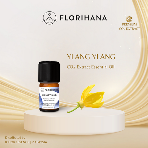 Florihana CO2 Ylang Ylang Organic Essential Oil | Ichor Essence
