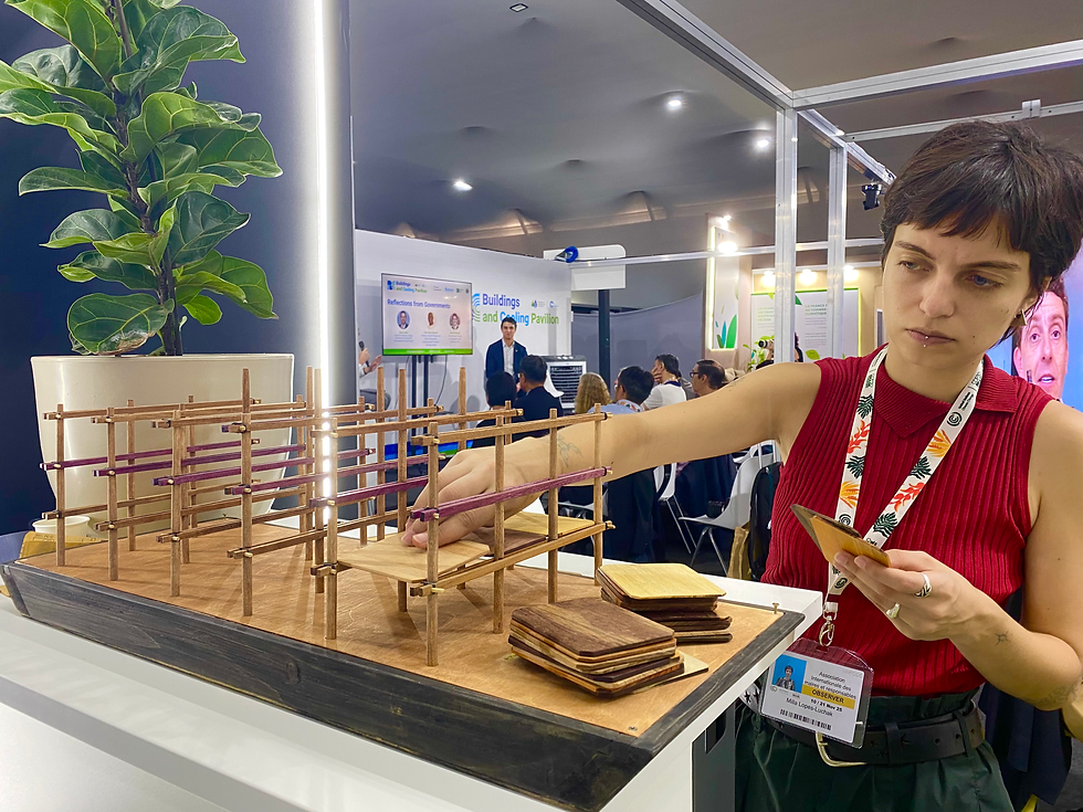 What 2025 Made Possible: COP30 Insights, Mass Timber Momentum, and ...