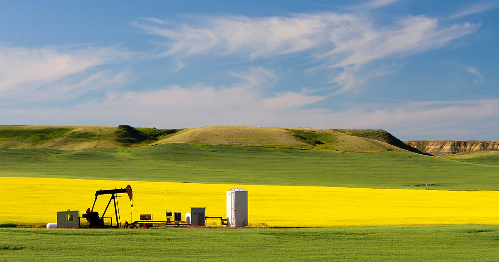 Alberta Farming: 2024 Ag Report in Review