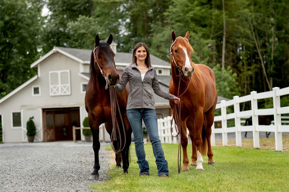 Washington Equine Lawyer | Equine Law
