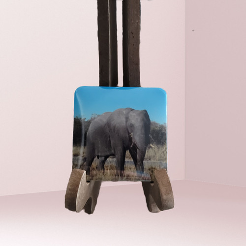 Elephant Magnet | Emslove