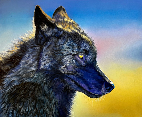 Wolf | Ruff Sketchings