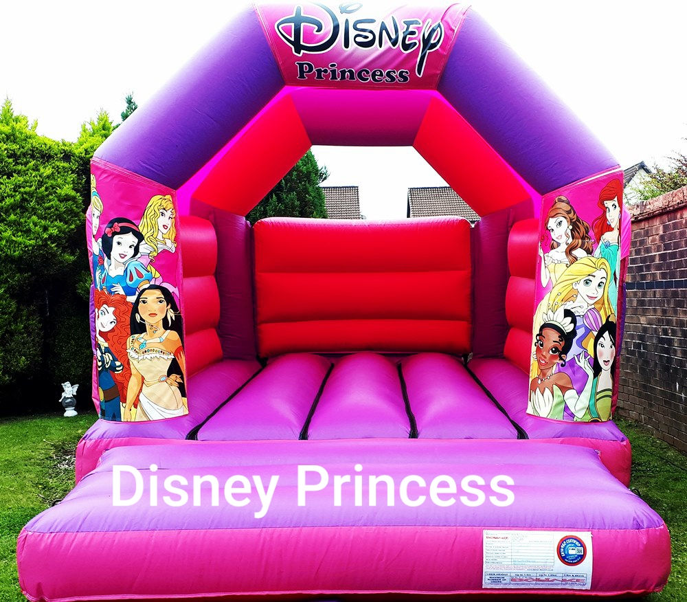 Disney Princess Bouncy castle