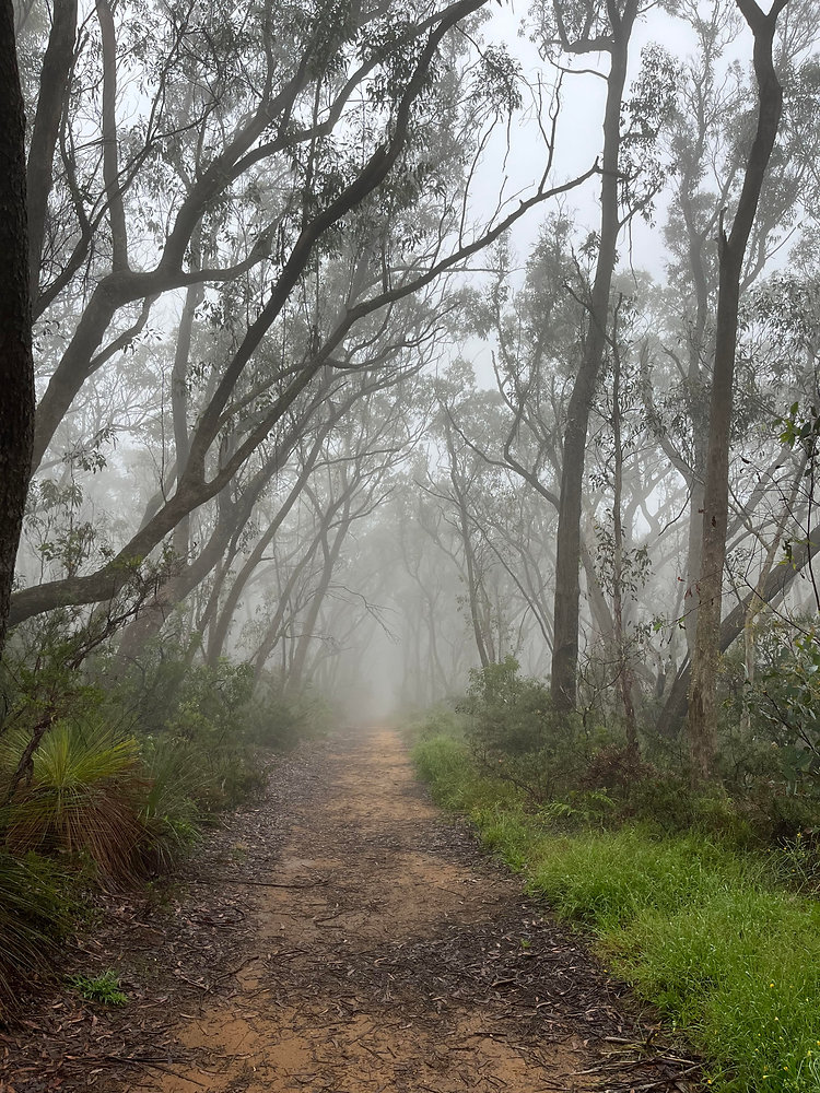 Cultivating Connections: Landscape Architecture's Role in creating ...