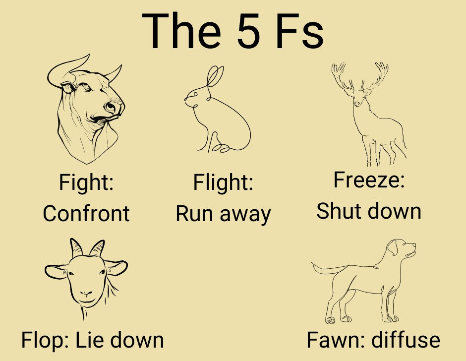 The 5 Fs - which one is you?