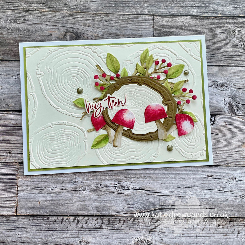 Tree Rings & Toadstools