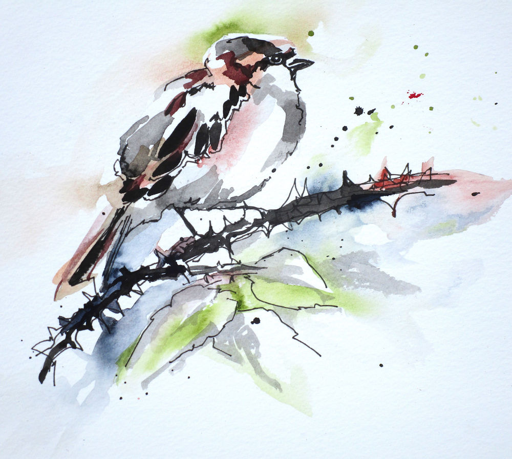 'A Little Bird Told Me' with Liz Chaderton