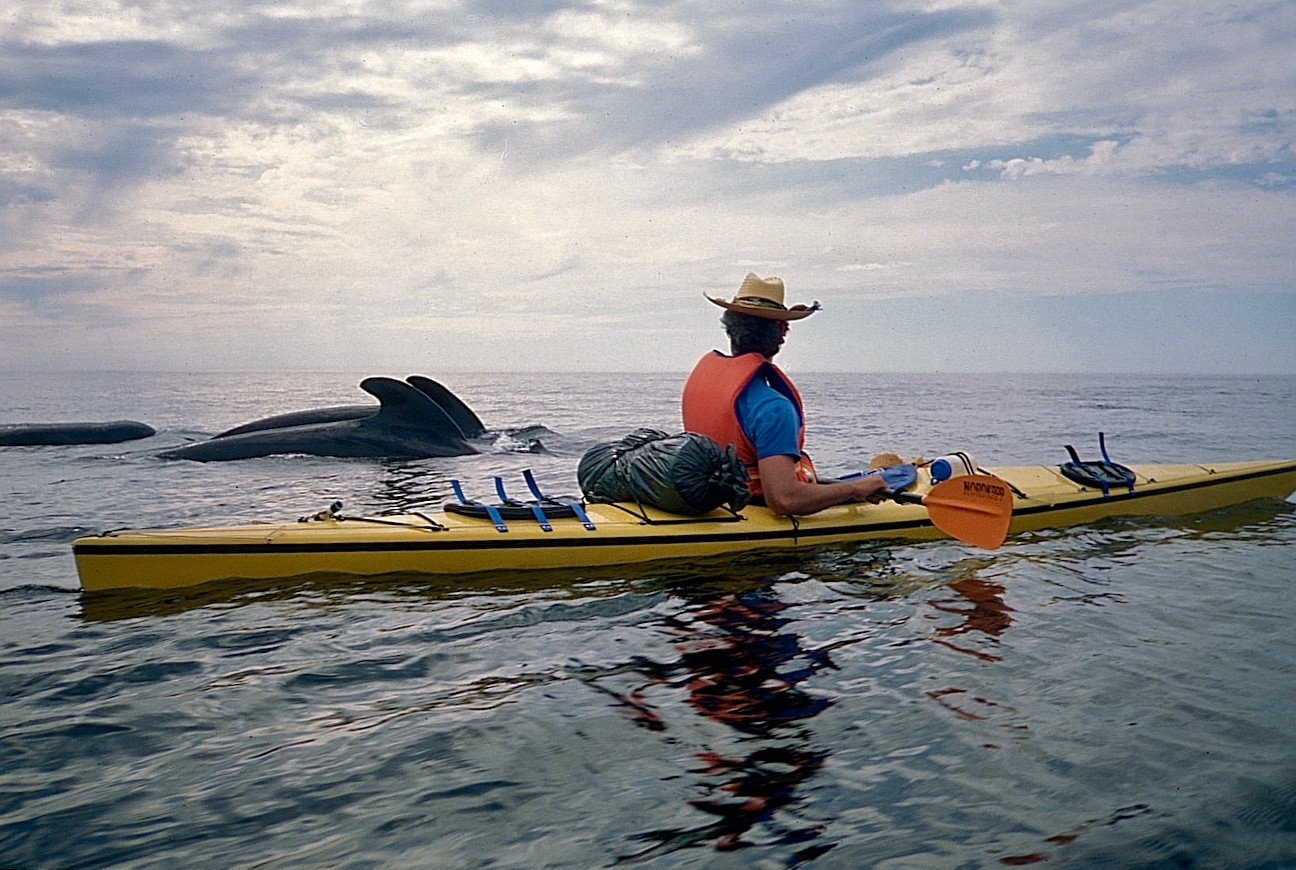 Photo Galleries | CoastalAdventures