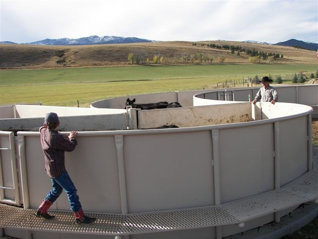 Deesing Livestock Handling Corrals | Cattle Corral Designs