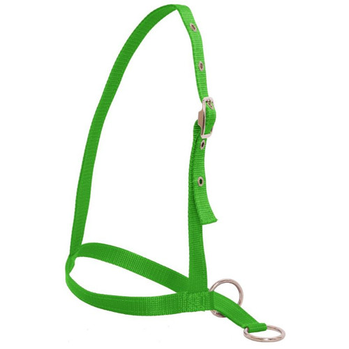 Blue Tag Leading Calf Halter | tackshop.co.nz
