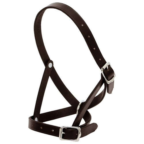 Blue Tag Leather Tethering Calf Halter | tackshop.co.nz