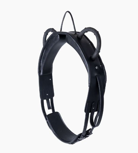 Waldhausen Competition Vaulting Surcingle | tackshop.co.nz