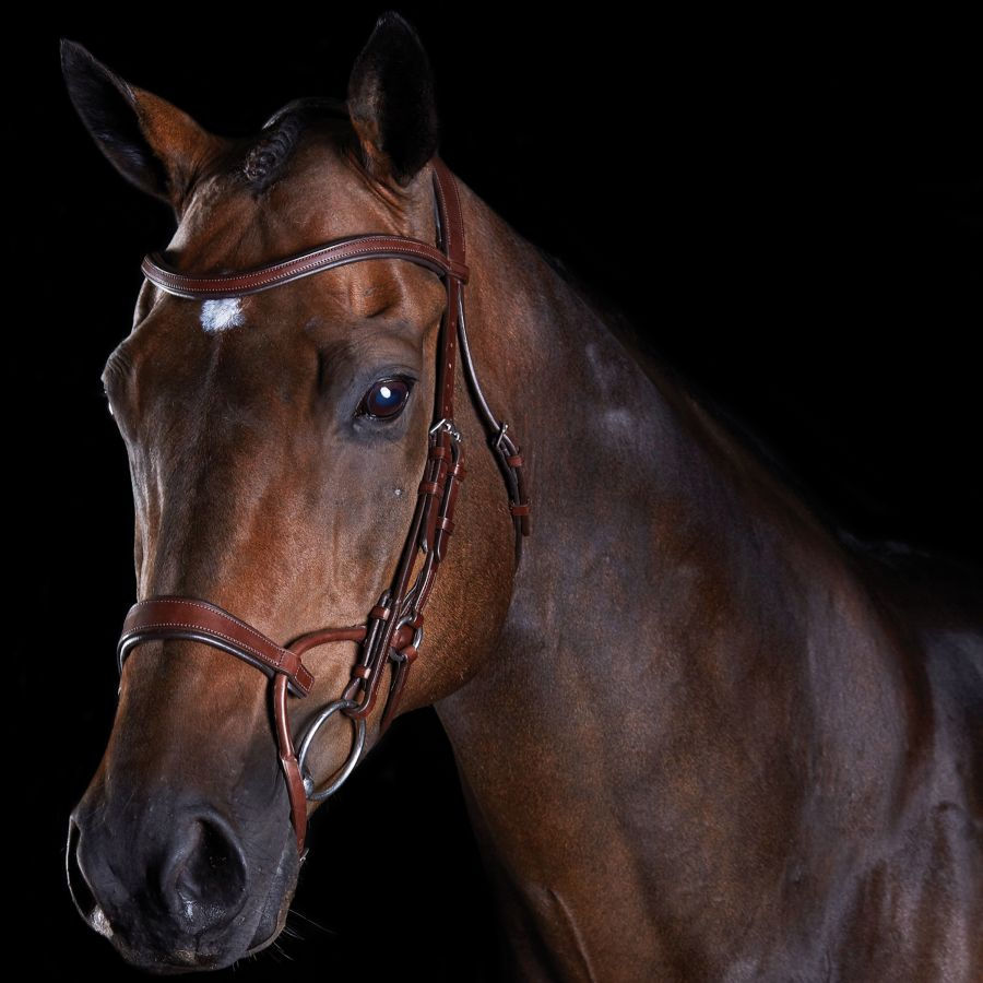 Horse Bridles NZ | Hackamore Bridle | Bitless Bridle | tackshop.co.nz 3/3
