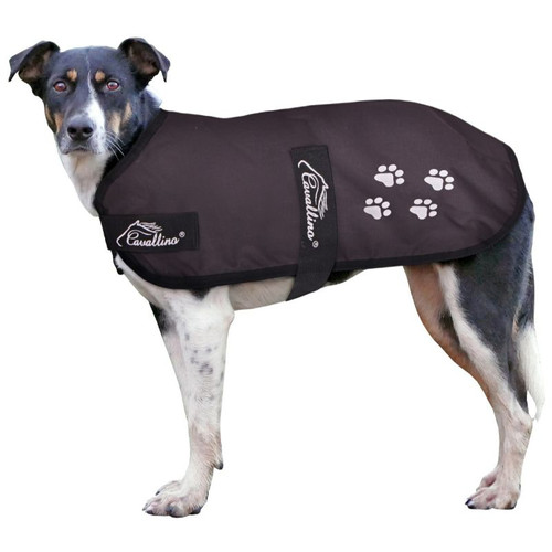Cavallino Paw Print Dog Coat | tackshop.co.nz
